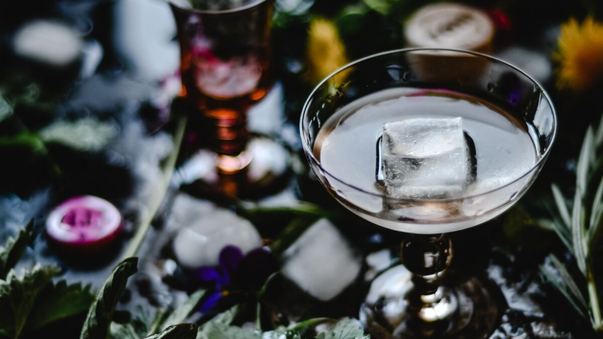 Tipi di gin: quali sono le principali caratteristiche – MySpirits Blog