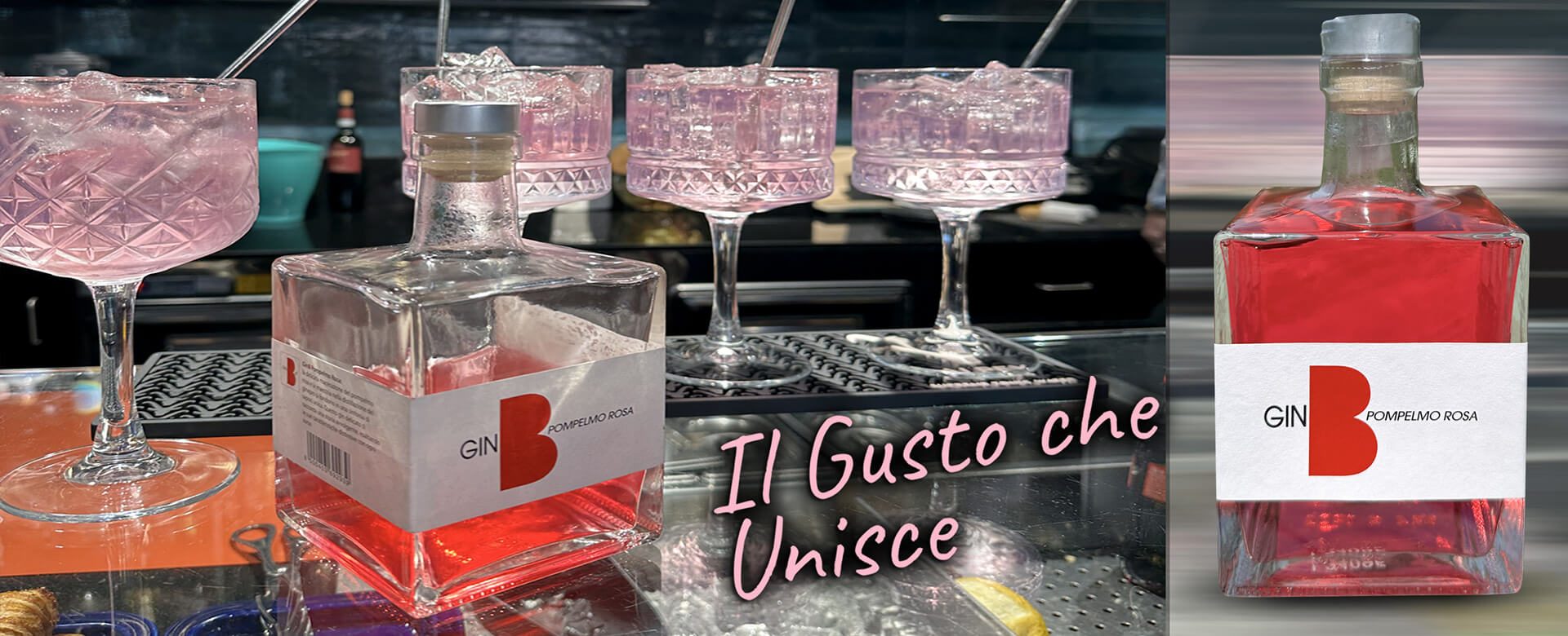 My Spirits | Vendita dei migliori distillati online